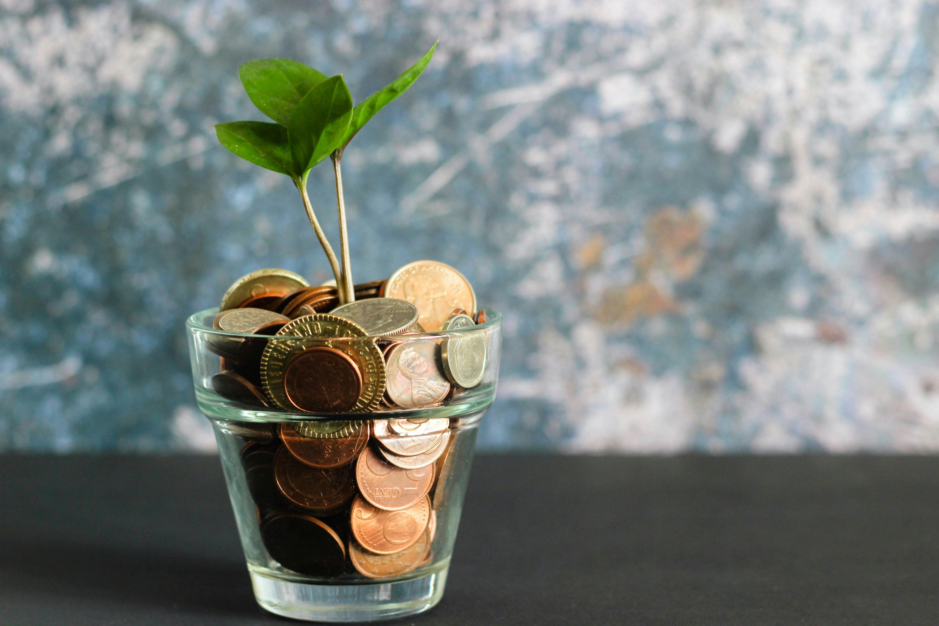 Personal Savings Accounts in Greater Houston & Galveston | Moody Bank